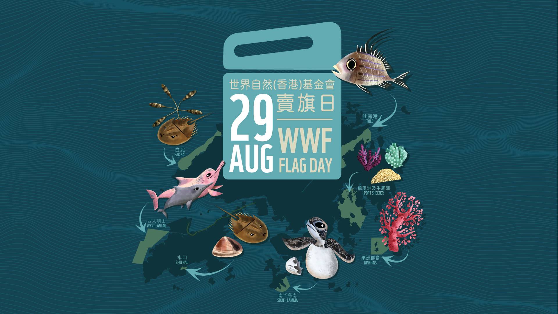 世界自然基金會香港分會(WWF-Hong Kong)｜活動機構｜01空間