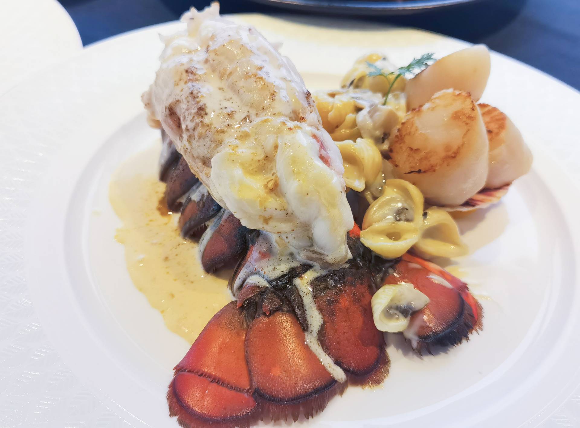 UPTOP BISTRO & BAR｜活動機構｜01空間