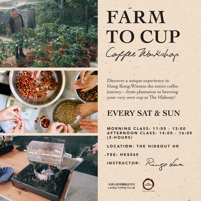 梅窩 The Hideout 半日遊｜探索Farm to Cup咖啡工作坊｜獨家2人同行85折 包餐點飲品｜隱世度假風Cafe 嘆露天湖景享受 ...