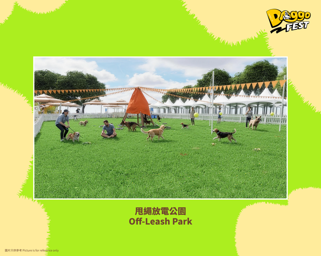 Doggo Fest 2025 香港首個 ‧ 最大型狗狗嘉年華 | 限時半價 門票$60起換購 | 11月14-16日 西九文化區